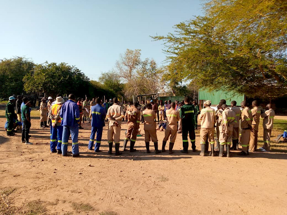 AgDevCo - Article: Outcomes and Lessons Learned from ESMS capacity ...